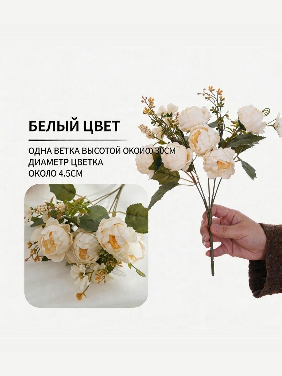 Стабилизированные цветы Адромискус, 31 см, 40 гр, 1 шт