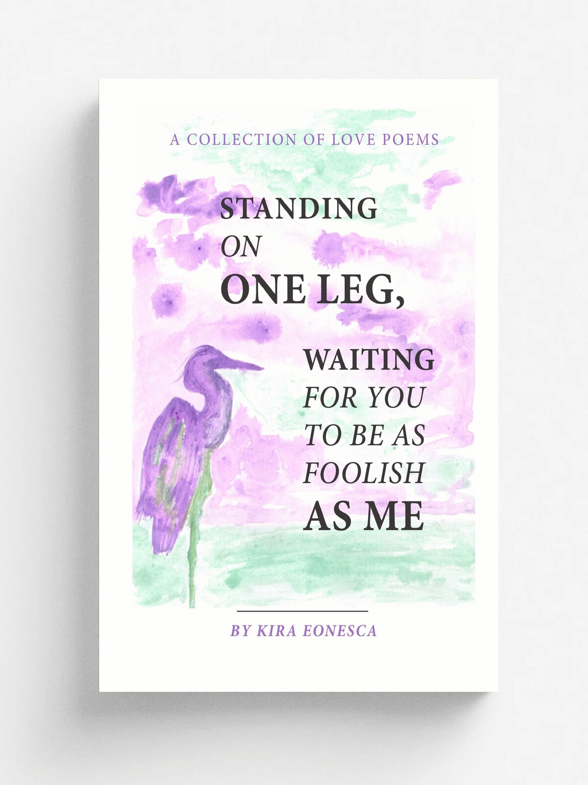 Standing On One Leg Waiting for You to Be as Foolish as Me