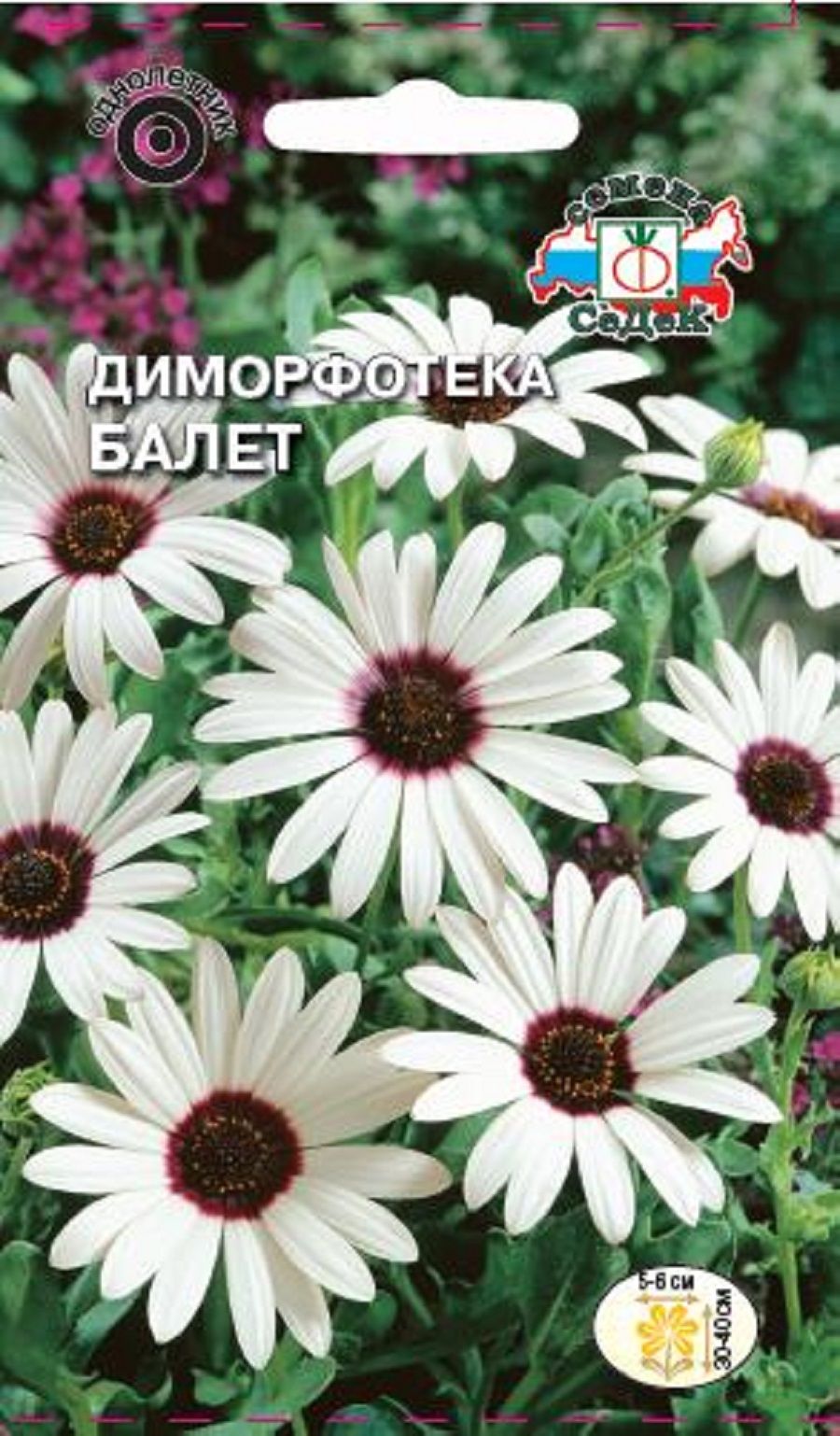 Диморфотека Балет (дождевая, белая) 0,3г /Седек