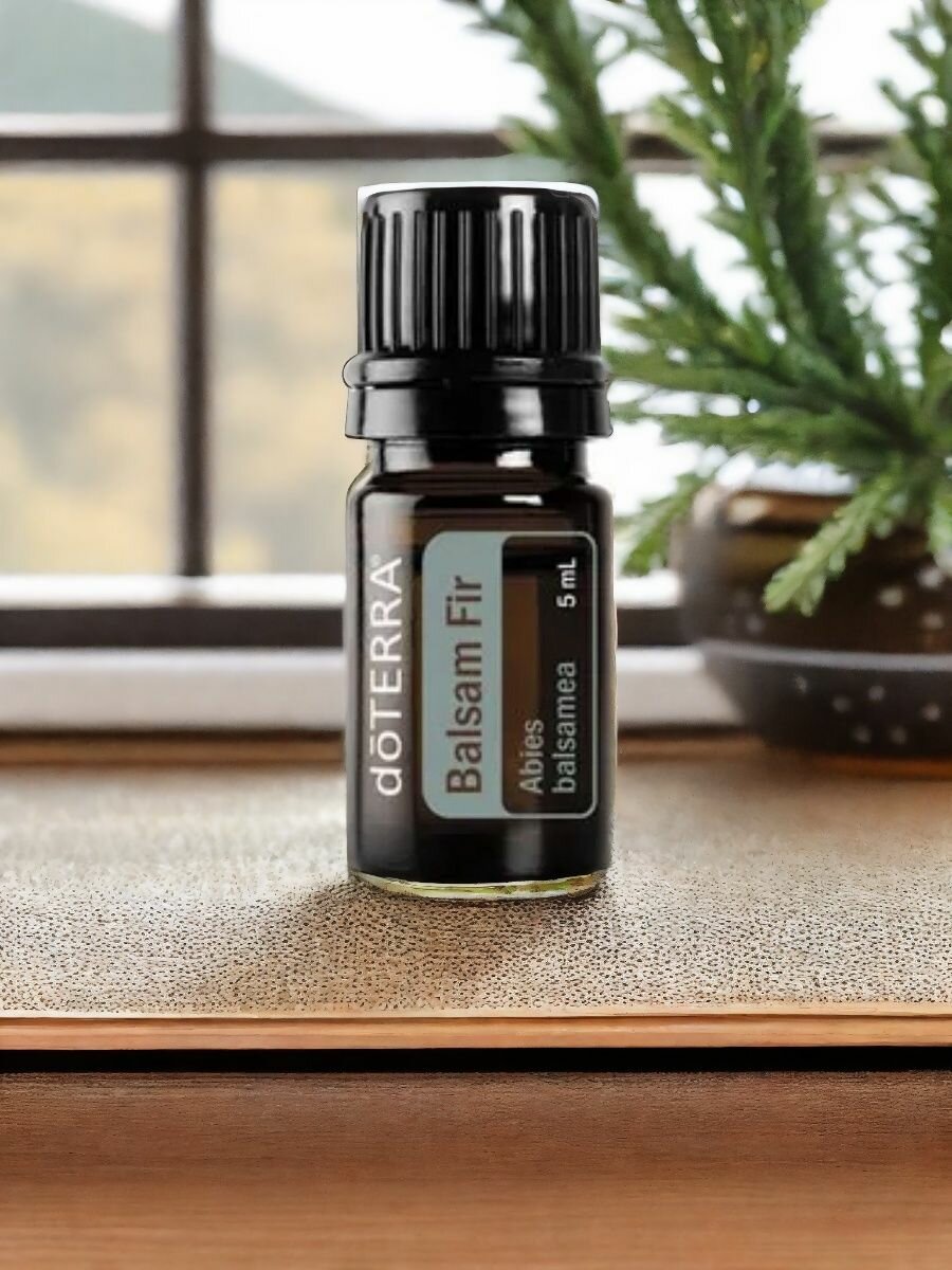 Эфирное масло Бальзамическая пихта, дотерра. Balsam fir, doTERRA