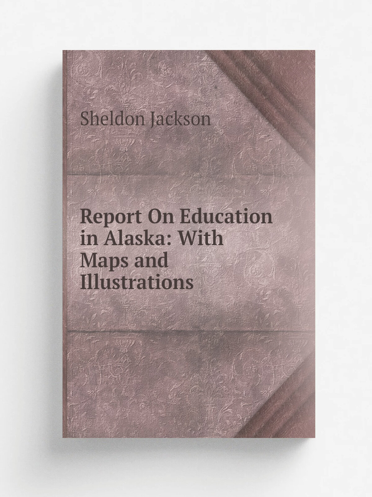 Report On Education in Alaska: With Maps and Illustrations