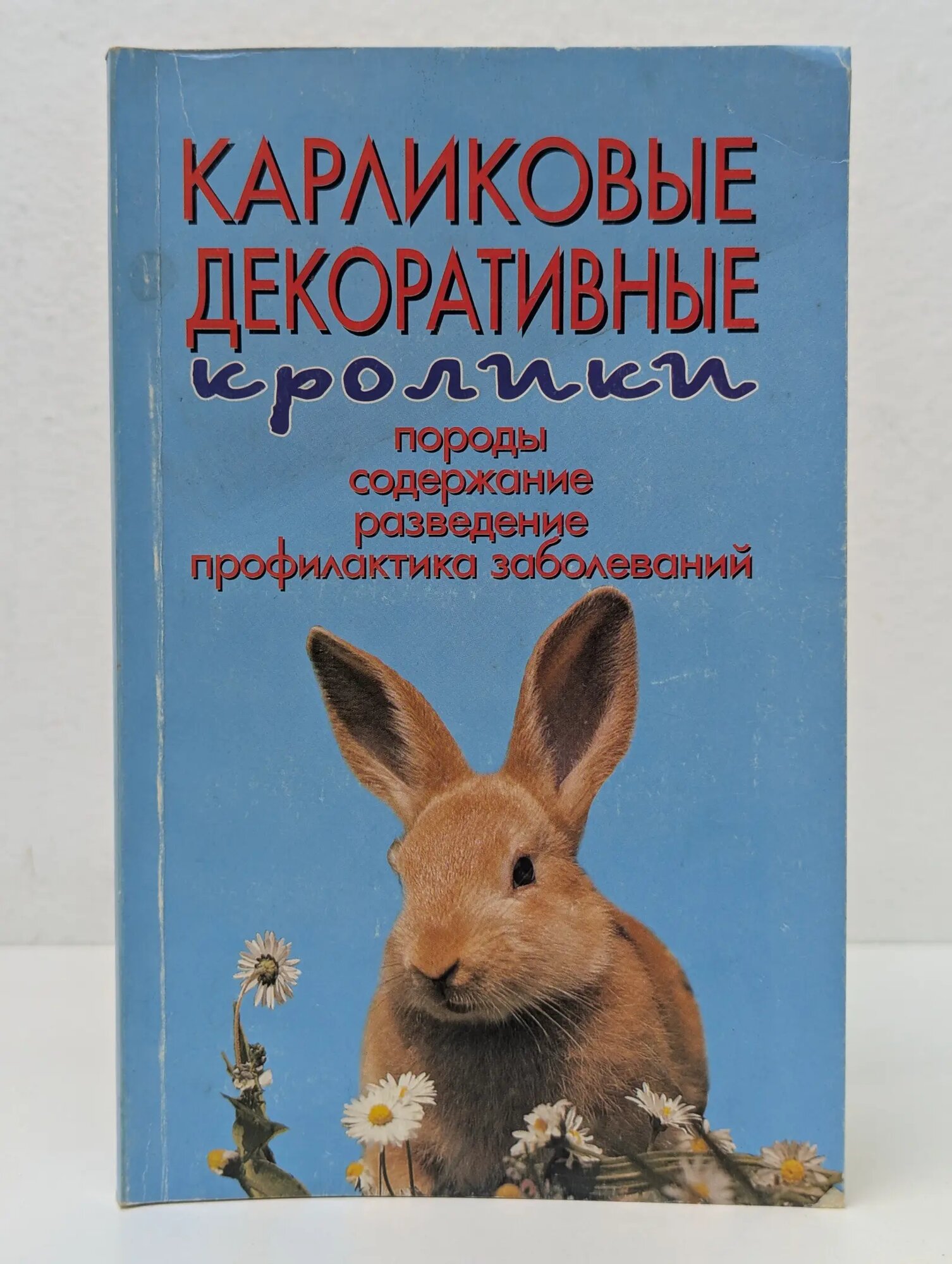 Карликовые декоративные кролики Рахманов Александр Иванович 2006