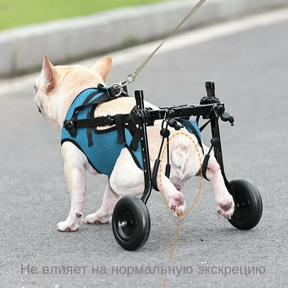 Инвалидная коляска для собак, Подходит для кошек Ходунки для собак, товары для животных-инвалидов Подходит для средних и маленьких пород,3 вида размеров можно регулировать, M-код