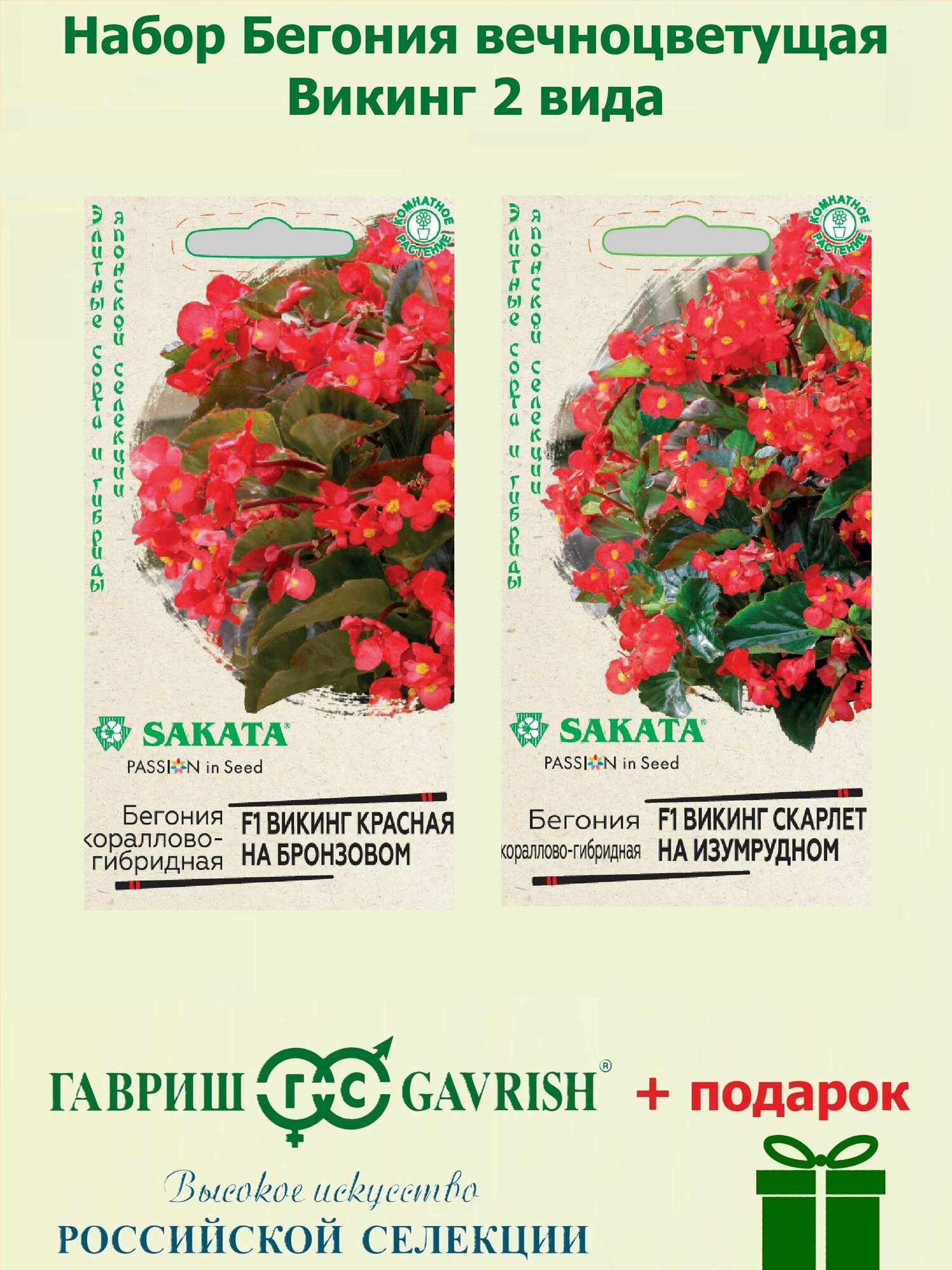 Набор семян Бегония вечноцветущая Викинг 2 вида