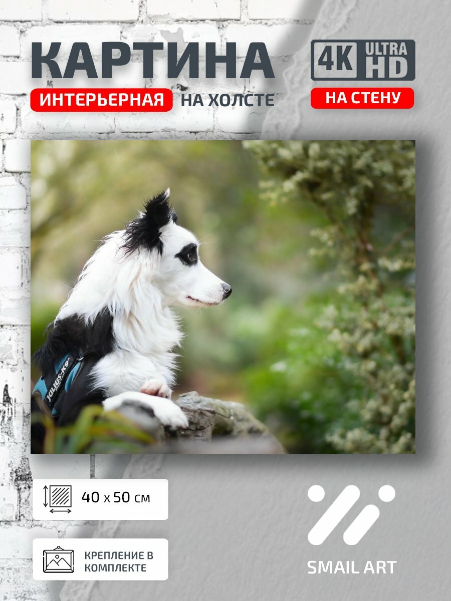 Картина на холсте интерьерная 40 на 50 на стену Взгляд Mood для студии атмосфера интерьер