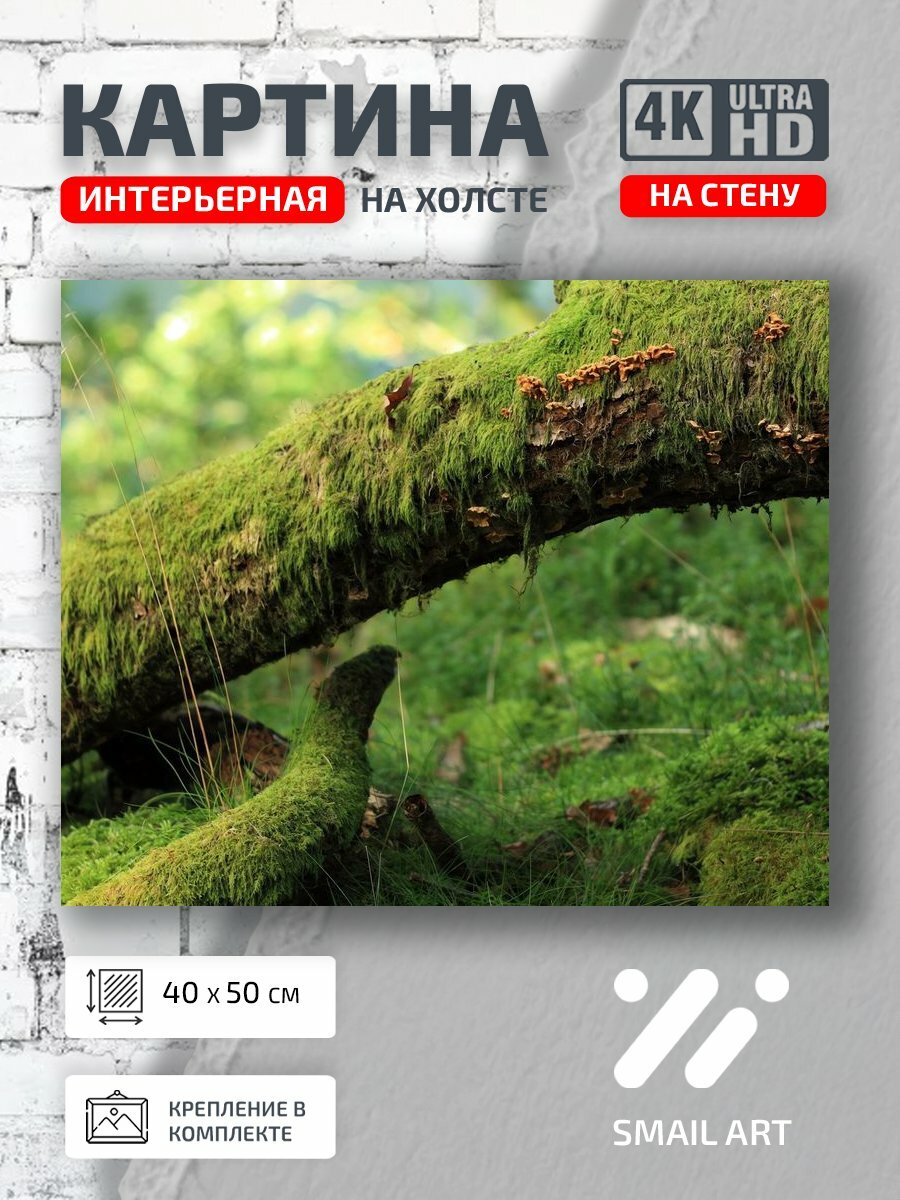 Картина на холсте интерьерная 40 на 50 на стену Мхе Landscape для офиса пейзаж интерьер