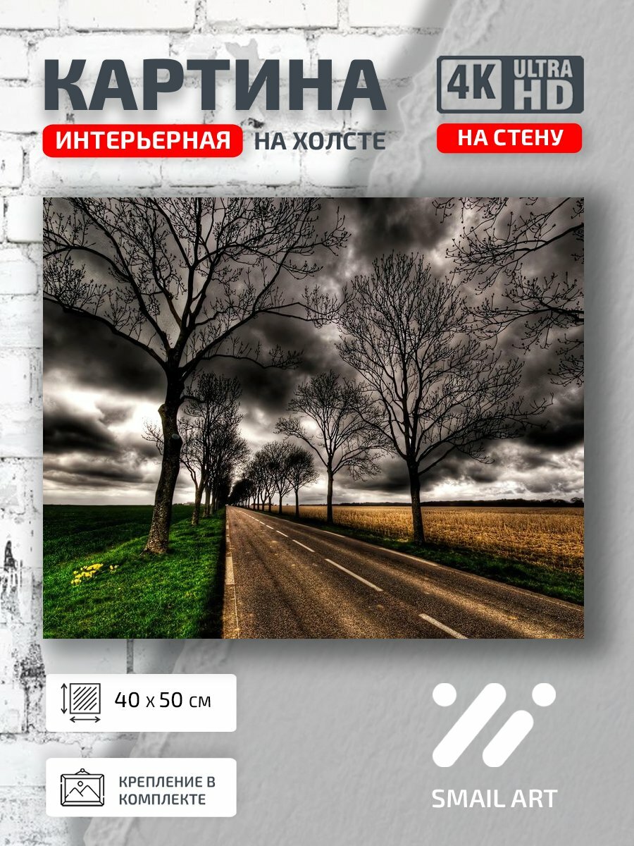Картина на холсте интерьерная 40 на 50 на стену Дорога Landscape для спальни пейзаж декор