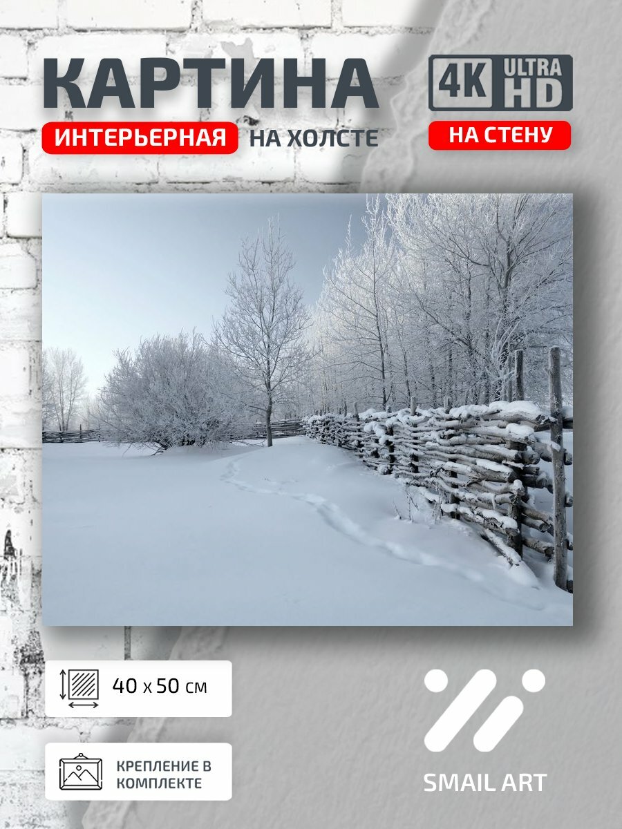 Картина на холсте интерьерная 40 на 50 на стену Снег Landscape для кафе пейзаж интерьер