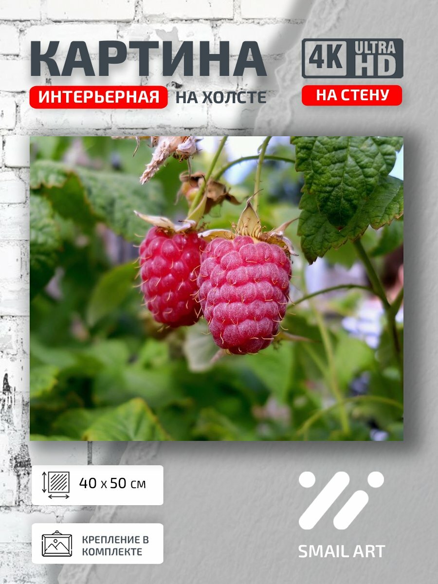 Картина на холсте интерьерная 40 на 50 на стену Малины Food для студии кулинария интерьер