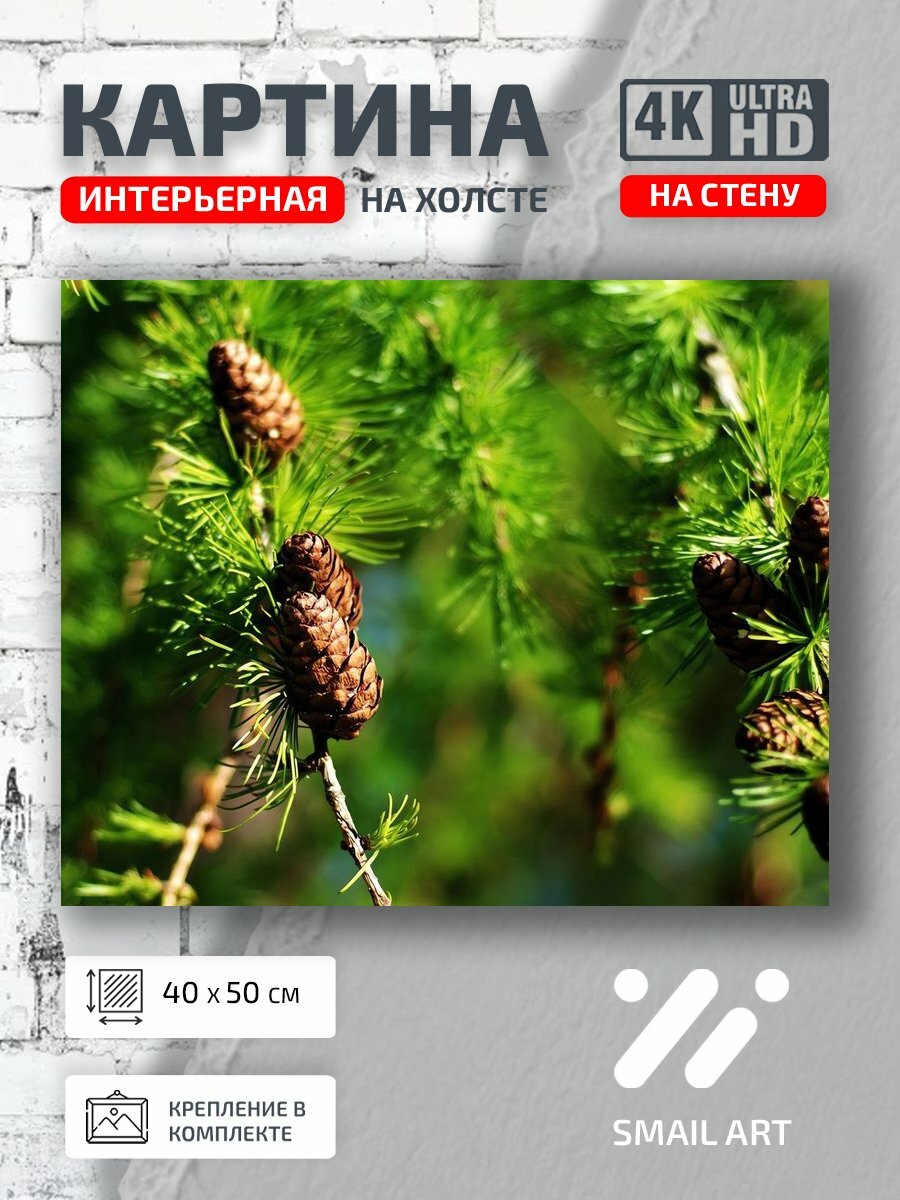 Картина на холсте интерьерная 40 на 50 на стену Лиственница Landscape для гостиной пейзаж
