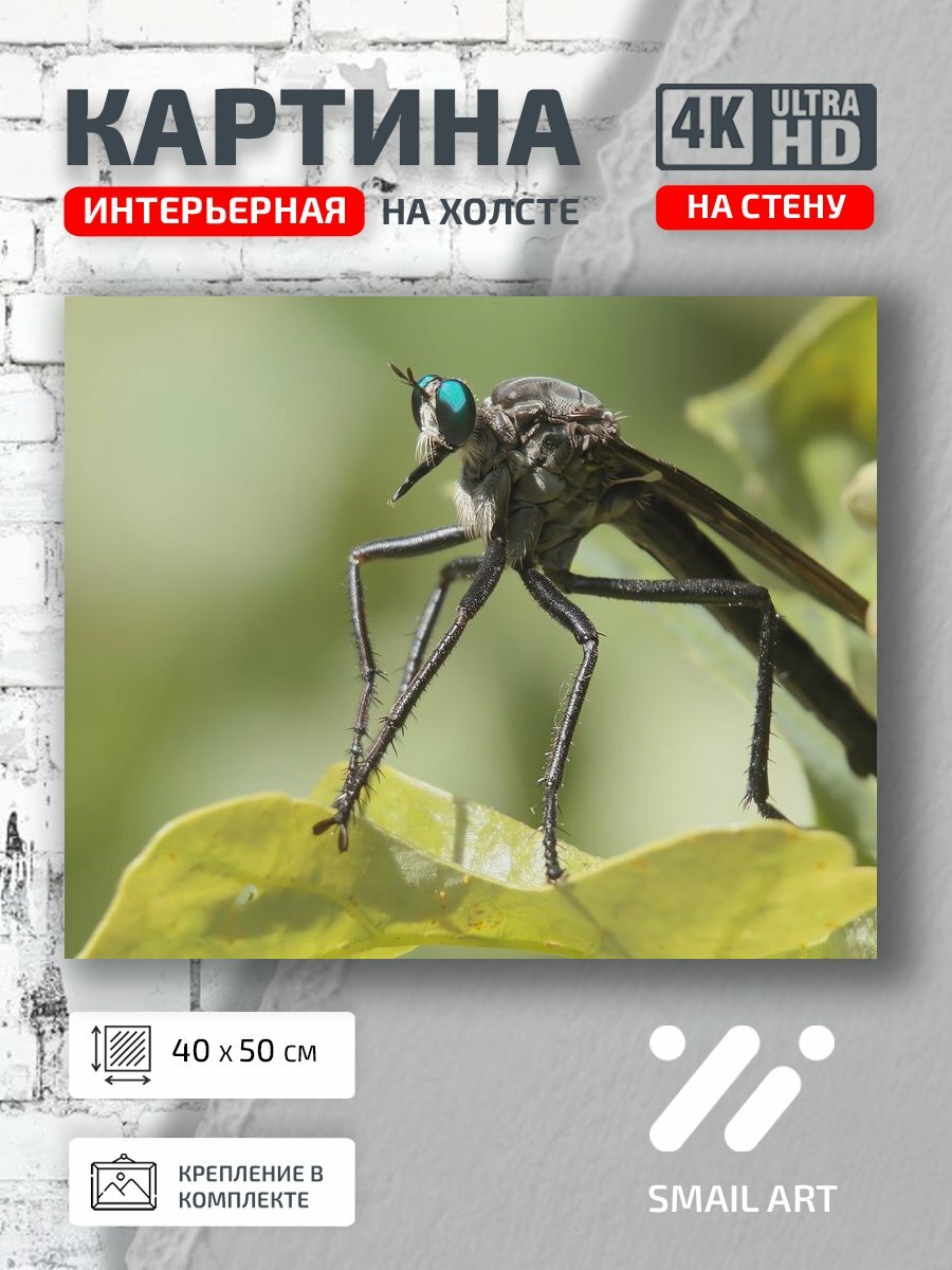 Картина на холсте интерьерная 40 на 50 на стену Лист Macro для студии макро интерьер декор