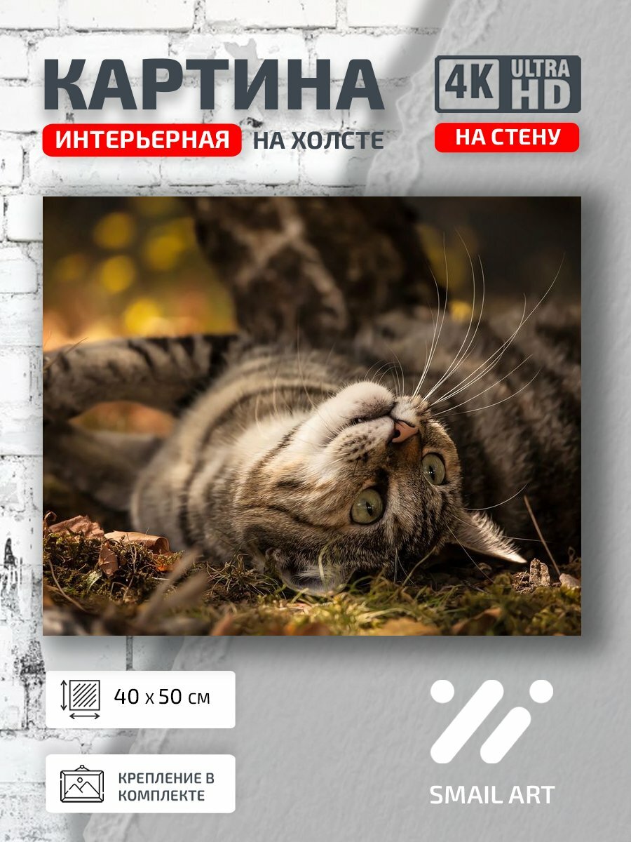 Картина на холсте интерьерная 40 на 50 на стену Трава Animal для кафе animal style интерьер