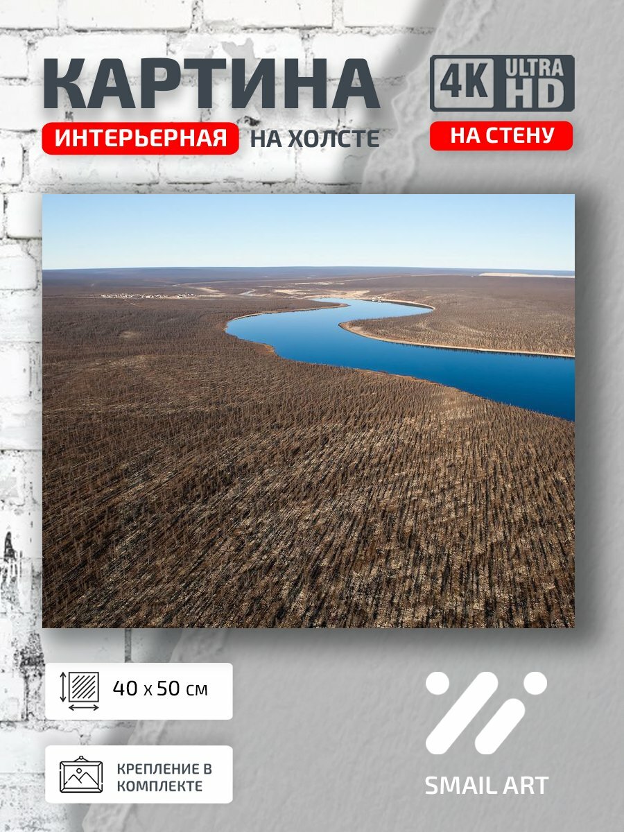 Картина на холсте интерьерная 40 на 50 на стену Речка Landscape для кафе пейзаж интерьер
