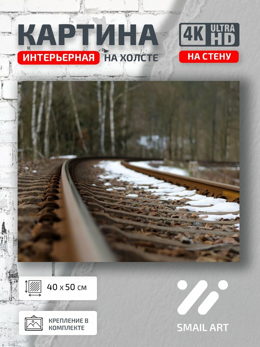 Картина на холсте интерьерная 40 на 50 на стену Деревья rails для гостиной пейзаж интерьер