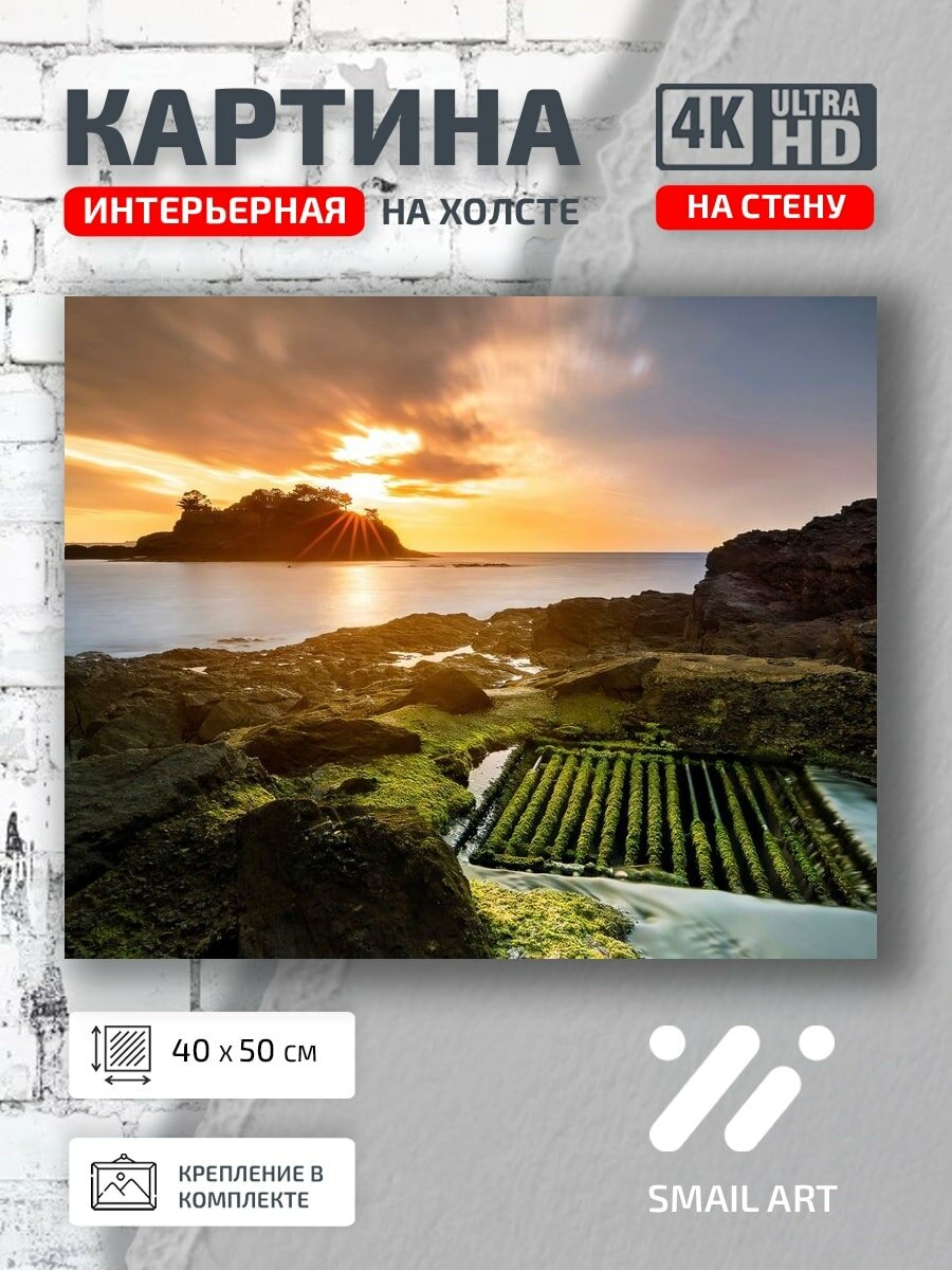 Картина на холсте интерьерная 40 на 50 на стену Природа Moss для спальни пейзаж