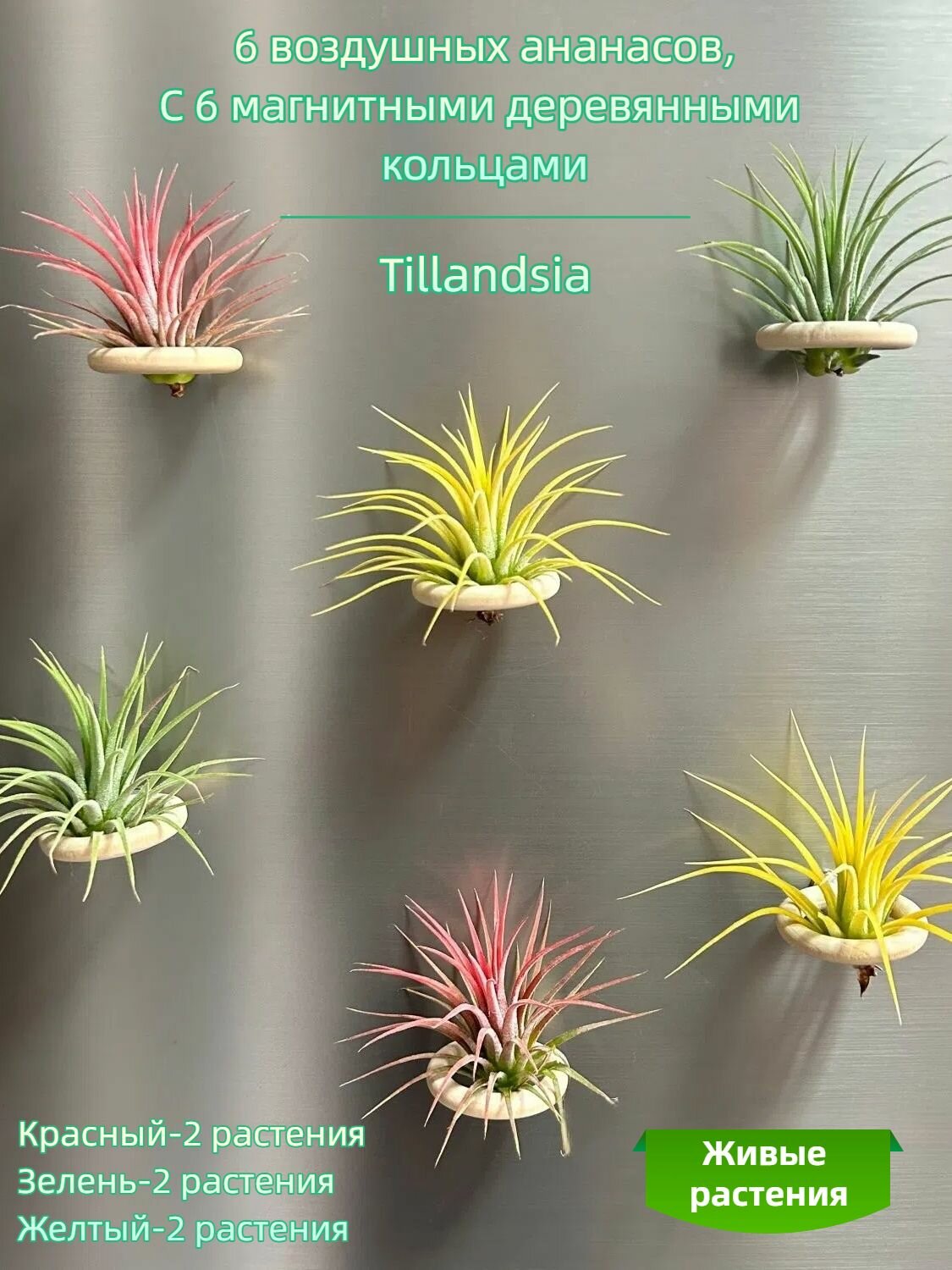 Искусственные цветы,6шт