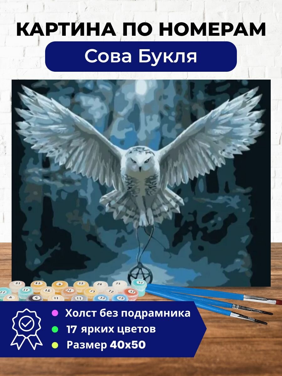 Картина по номерам Гарри Поттер полярная Сова Букля на холсте 40x50 см