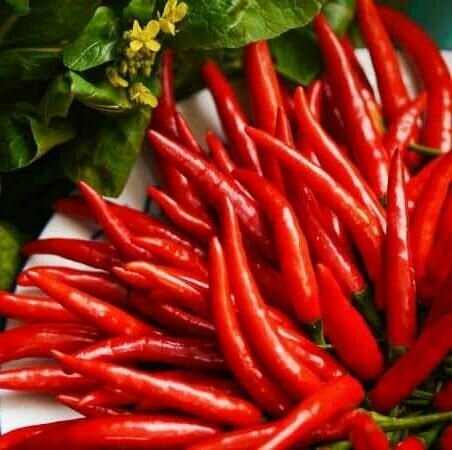 Коллекционные семена перца острого Жгучая перчинка