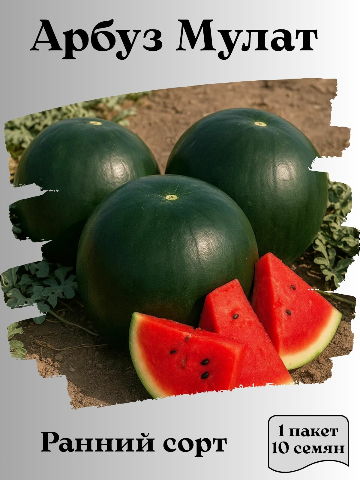 Арбуз Мулат, семена, 10 шт, 15 гр.