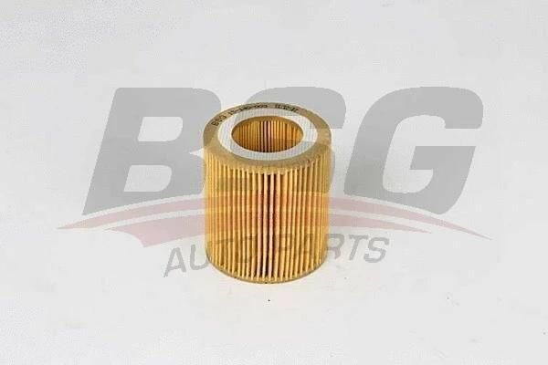 Фильтр масляный BSG BSG15, 140, 003 BMW E81, E82, E87, E88, E90, E91, E92, E93, F20, F21, F22, F23, F30, F31, F35, F32, F33, F36, E60, E61, E63, E64, E65, E66, F06, F07, F10, F11, F18, F12, F13, X1