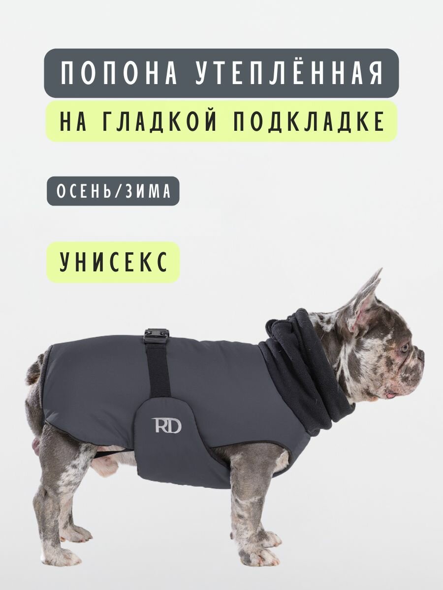 Одежда для животных