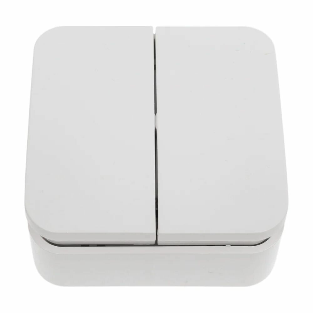 2-клавишный выключатель Systeme Electric Blanca наружный, Белый, 10А, 250B SE BLNVA105021