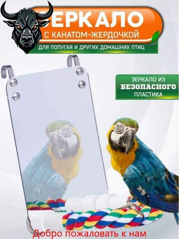 Зеркало для попугаев, жёрдочкой в клетку, Жердочка для попугаев гибкая