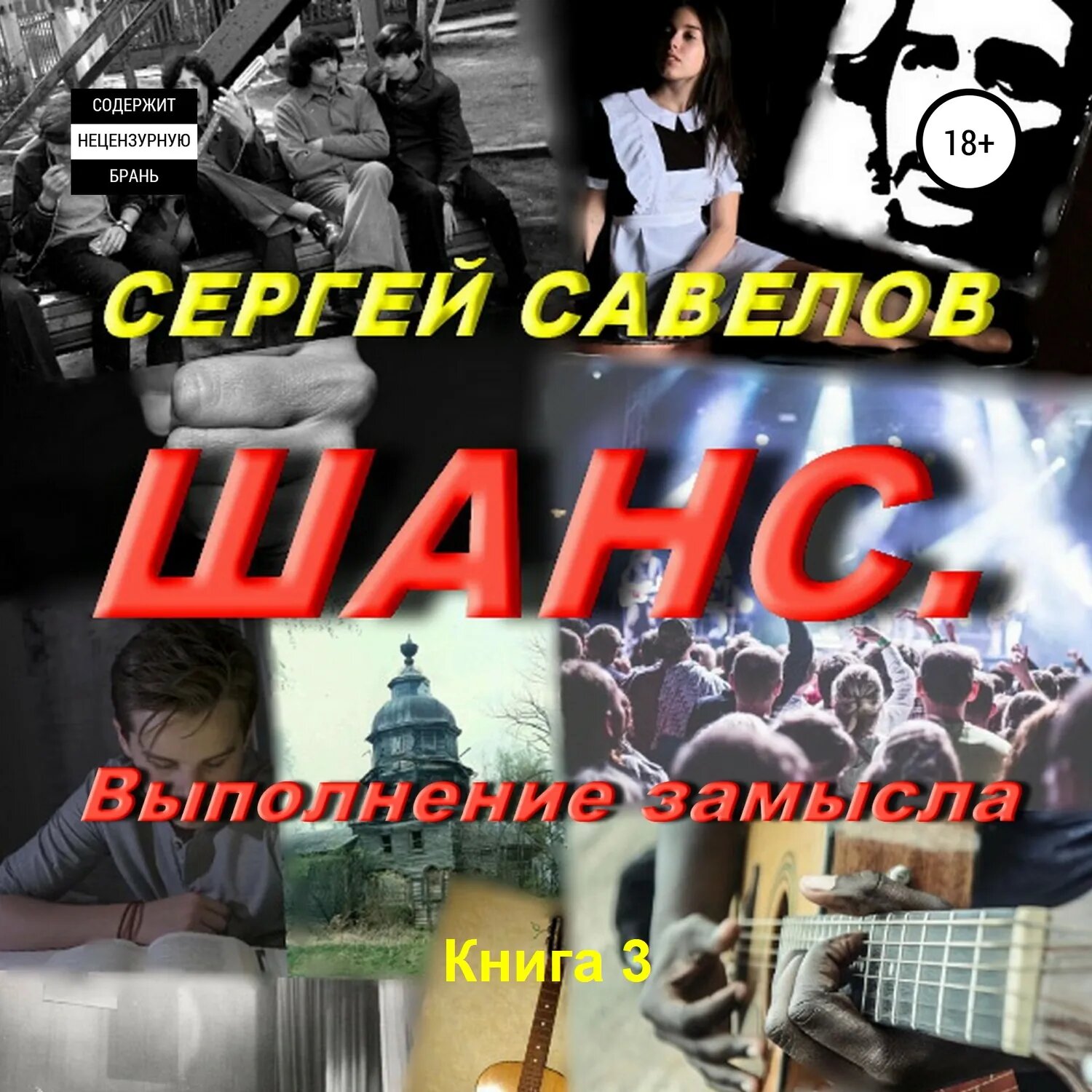 Шанс. Выполнение замысла. Сергей Савелов. Книга 3 [Аудиокнига]