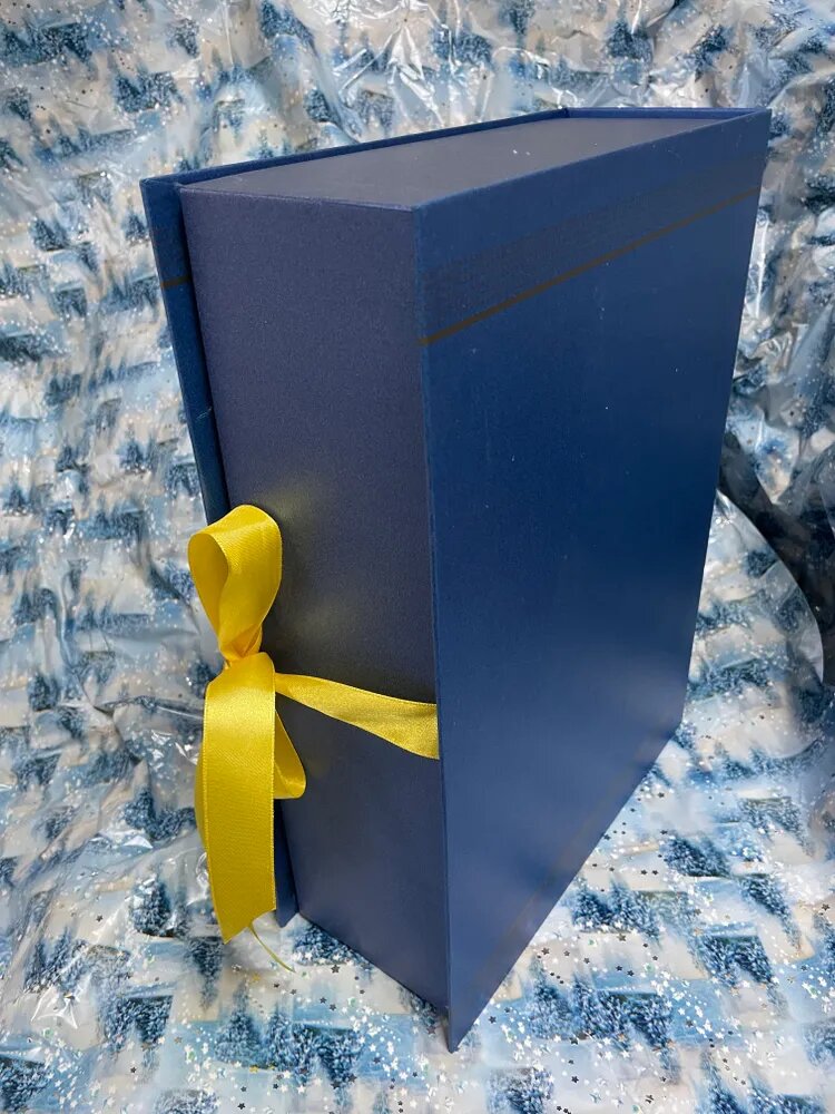 Коробка для хранения синяя