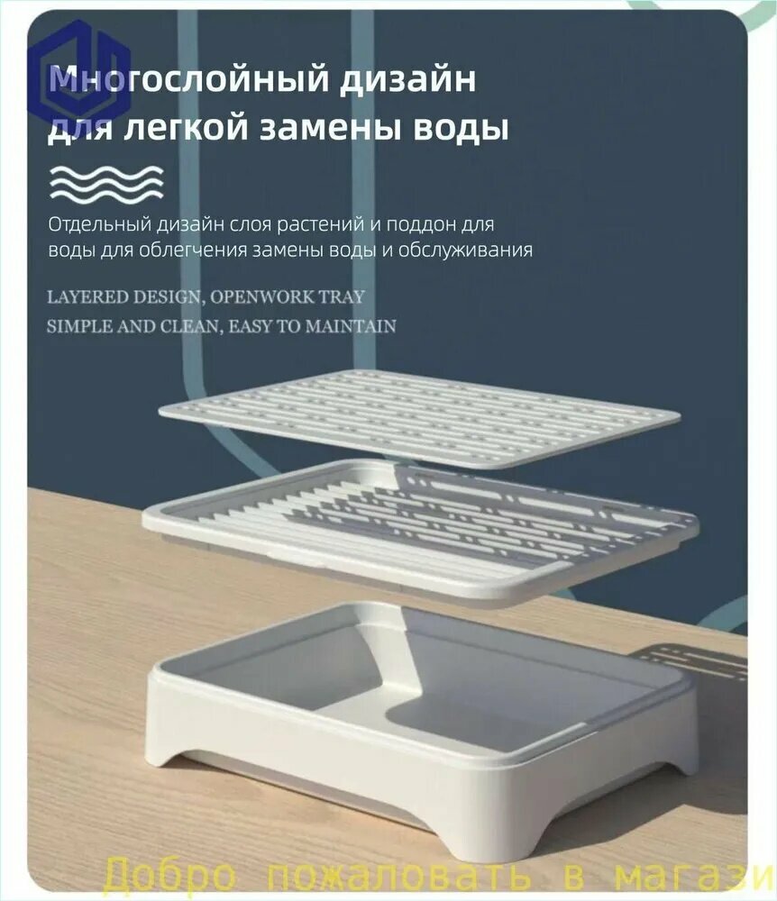 Кошачья коробка из травы / 5 мест для семян