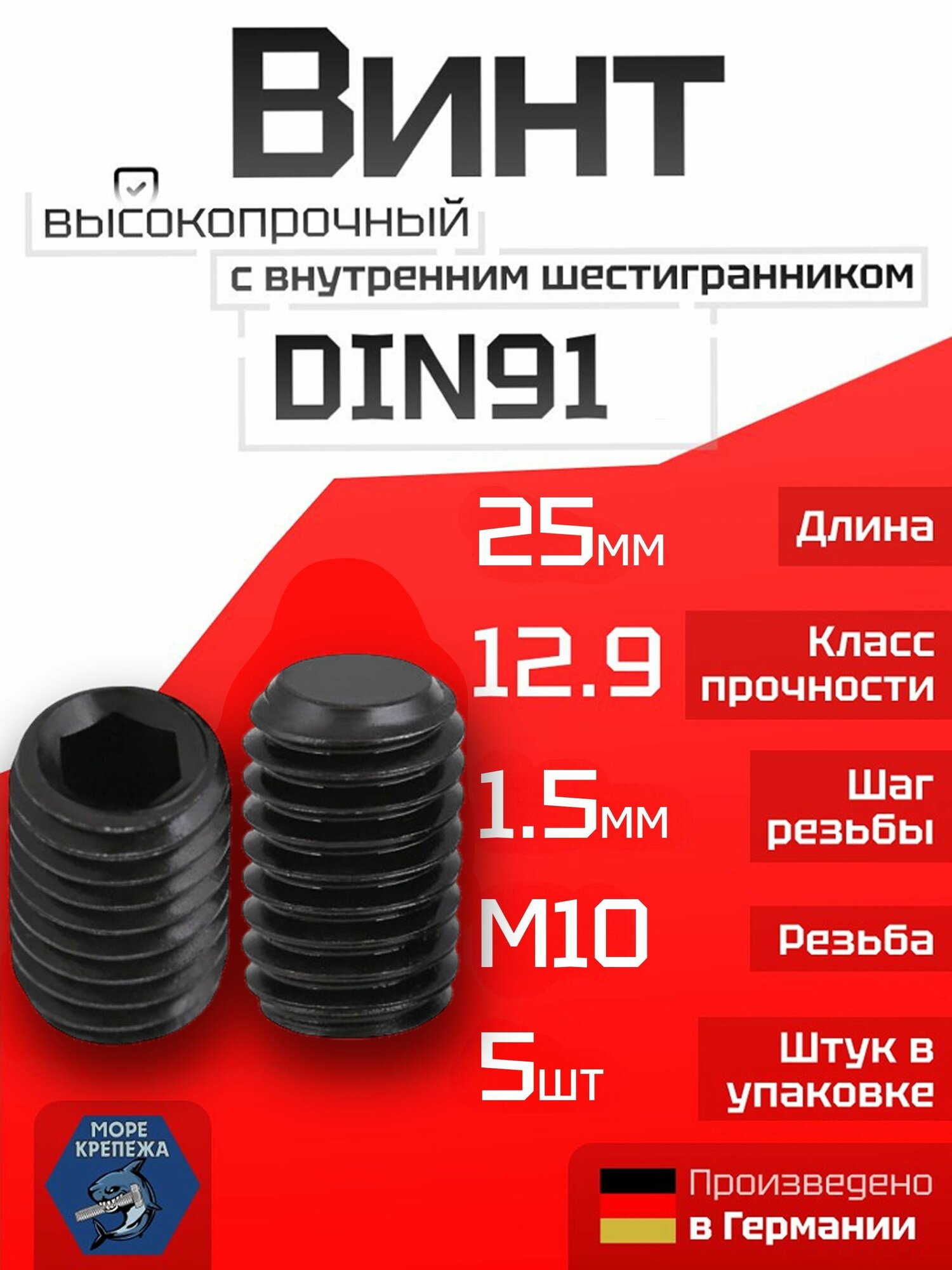 Винт установочный M10 х 25 мм (гужон) DIN 913 с плоским концом и внутренним шестигранником, сталь класса 12.9, черный, 5 шт