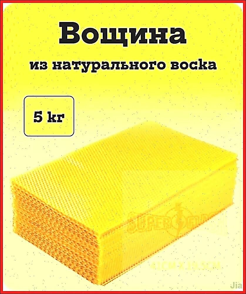 Вощина