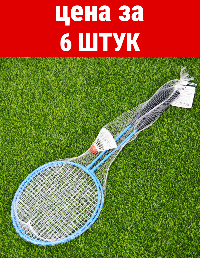 Комплект 6 шт, Набор для игры в бадминтон ECOS BS-01 (2 ракетки, волан)