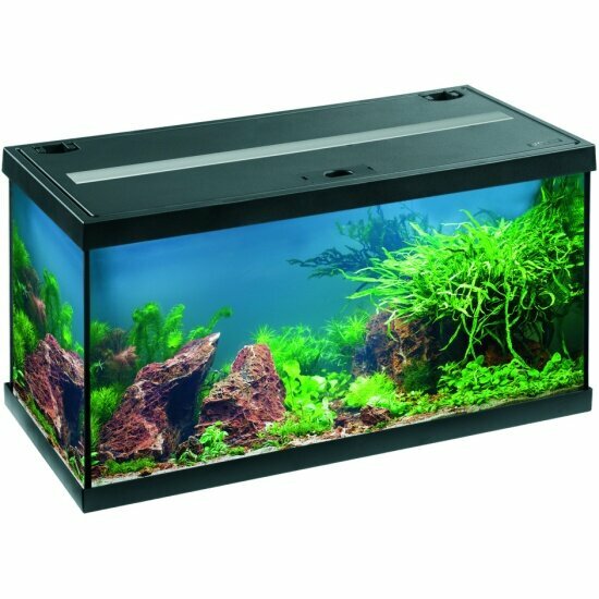 Аквариум с оборудованием Eheim Aquastar LED черный 54л, 63x33x36см