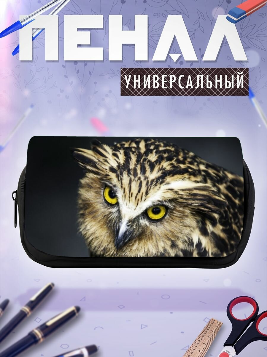 Пенал косметичка Снежная сова птица