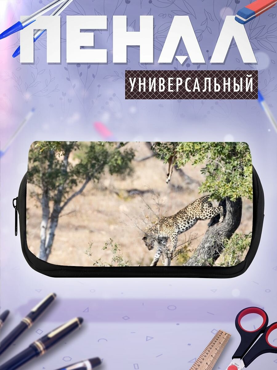 Школьный пенал живая природа Дикая кошка