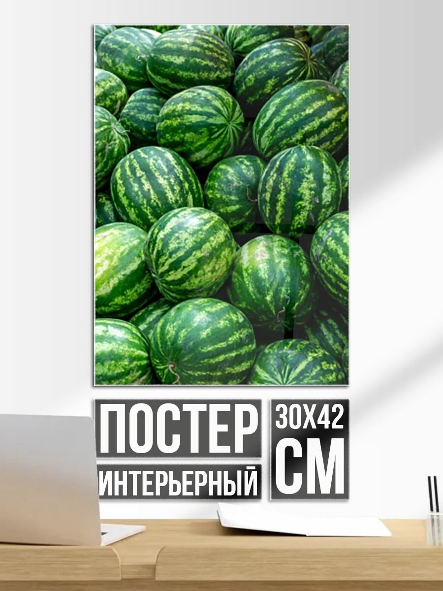 Постер на стену Арбузы
