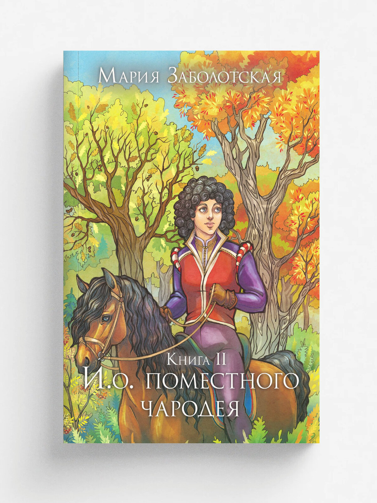 И. о. поместного чародея. Книга II