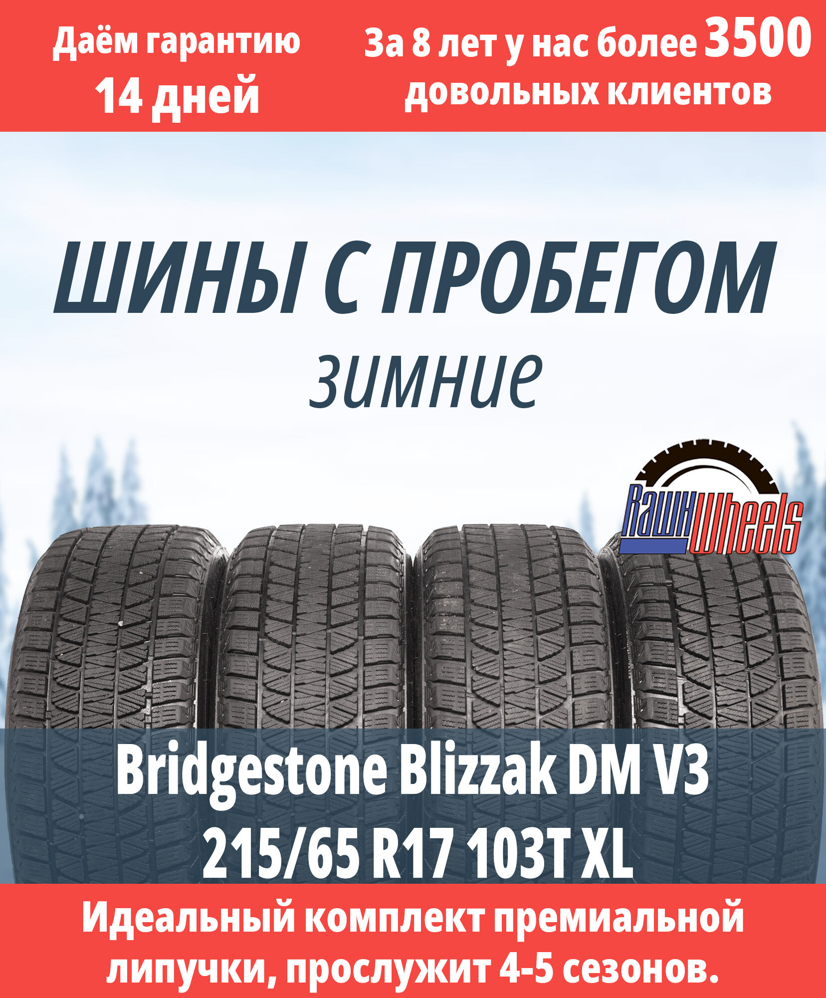 Bridgestone Blizzak DM V3 215/65 R17 103T XL