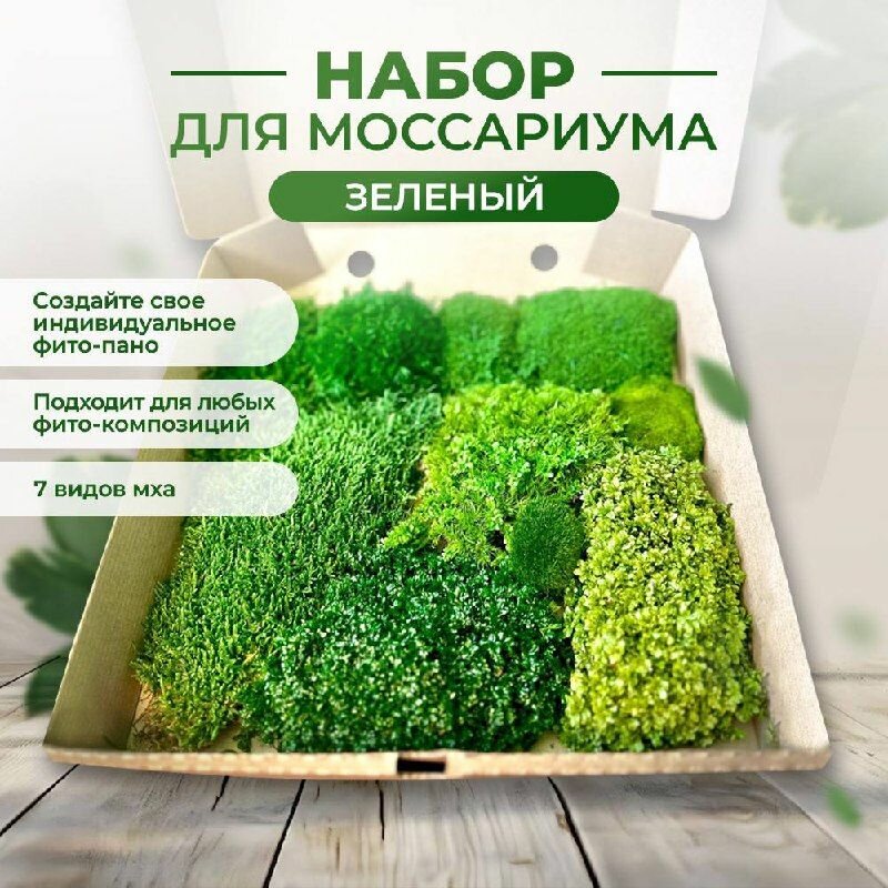 Стабилизированный мох