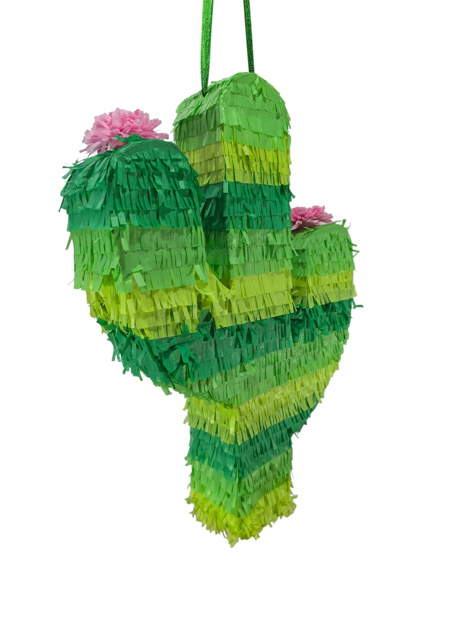 Пиньята (кактус)