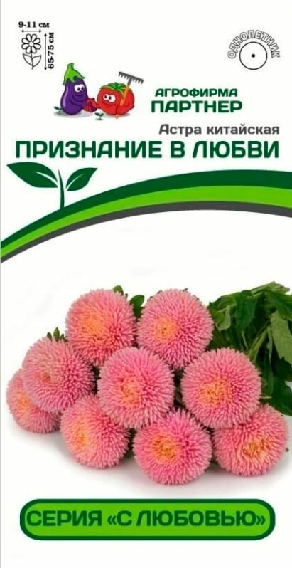 Астра китайская Признание в любви (5 семян)