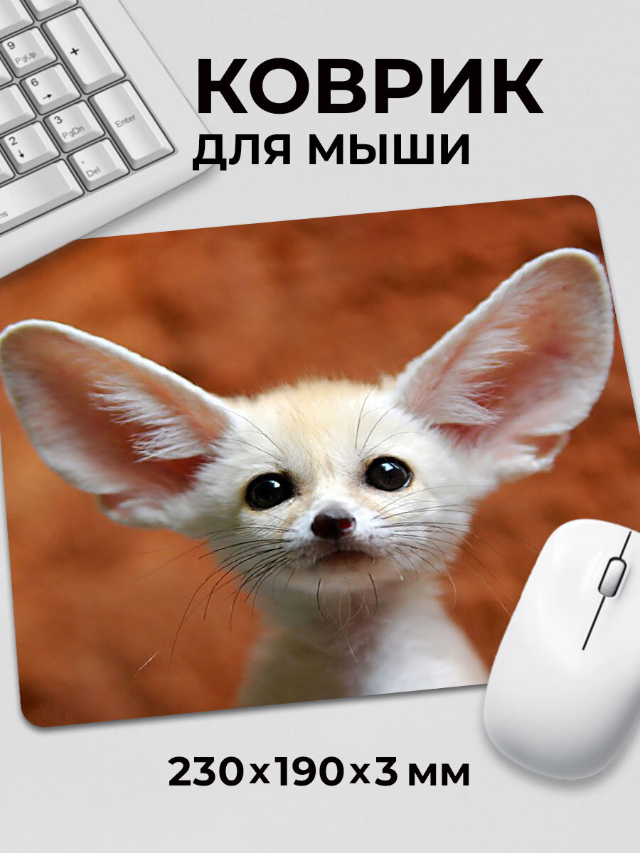 Коврик для мышки игровой маленький Фенек Маленькая лиса