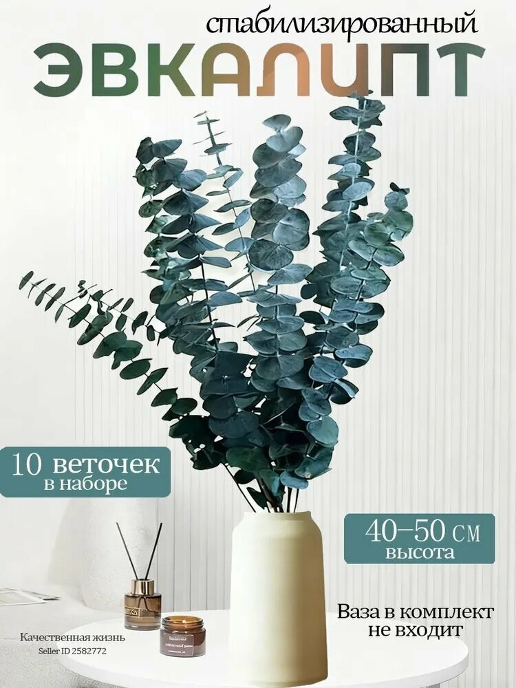 Сухоцветы Эвкалипт, 50 см, 10 шт
