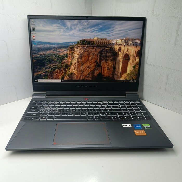 Ноутбук ThundeRobot 911 X