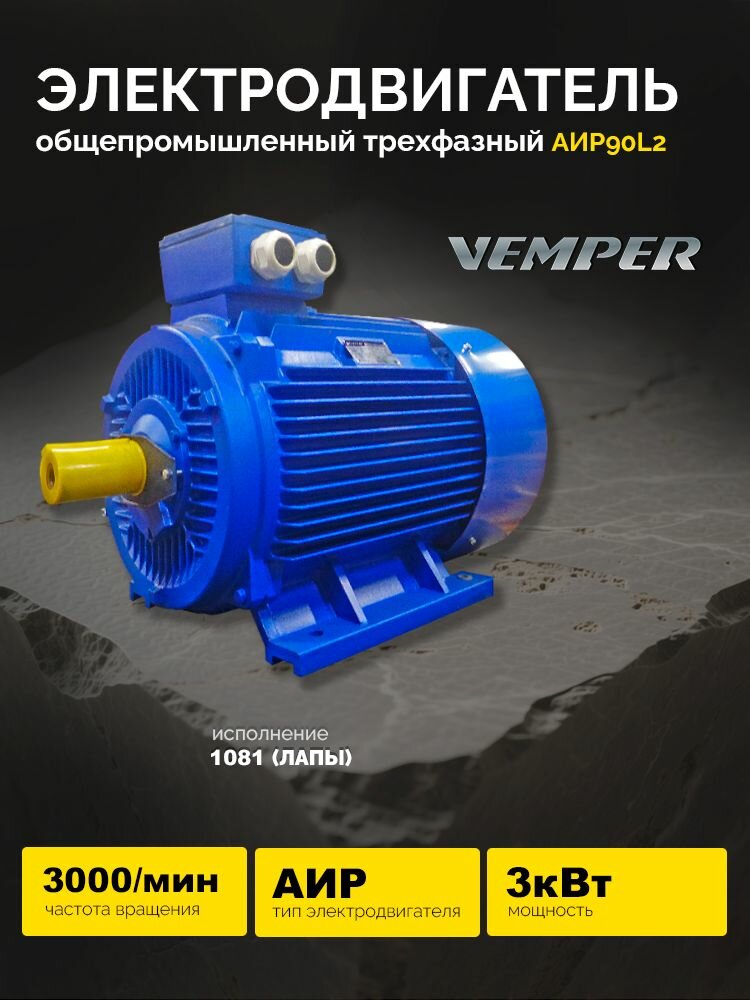 Электродвигатель АИР90L2 3кВт 3000об/мин (лапы) VEMPER Энергоиндустрия