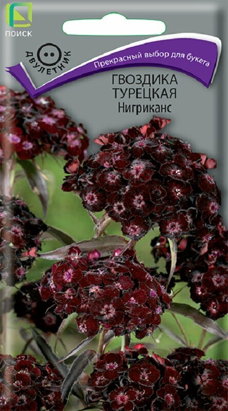 Семена цветов гвоздика Турецкая Нигриканс, для дачи, сада, огорода и на рассаду