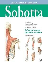 Книга "Sobotta. Атлас анатомии человека : Таблицы мышц, суставов и нервов"