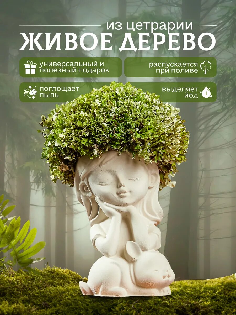 Декоративное дерево из исландского мха цетрарии "Девочка с зайкой" в кашпо. Breath of Nature