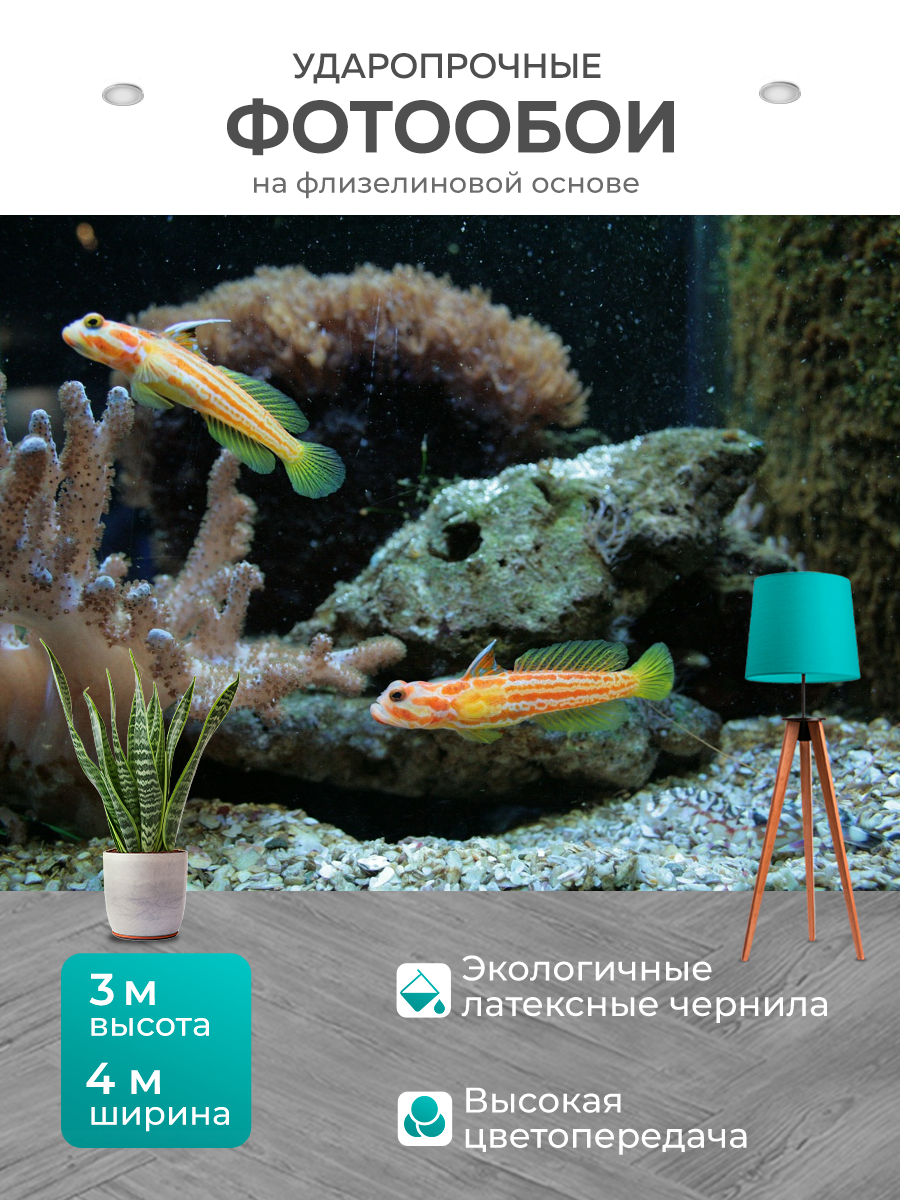 Фотообои моющиеся ударопрочные "Морской рыбы, аквариумные рыбки, аквариум" 400x300 см. флизелиновые на стену